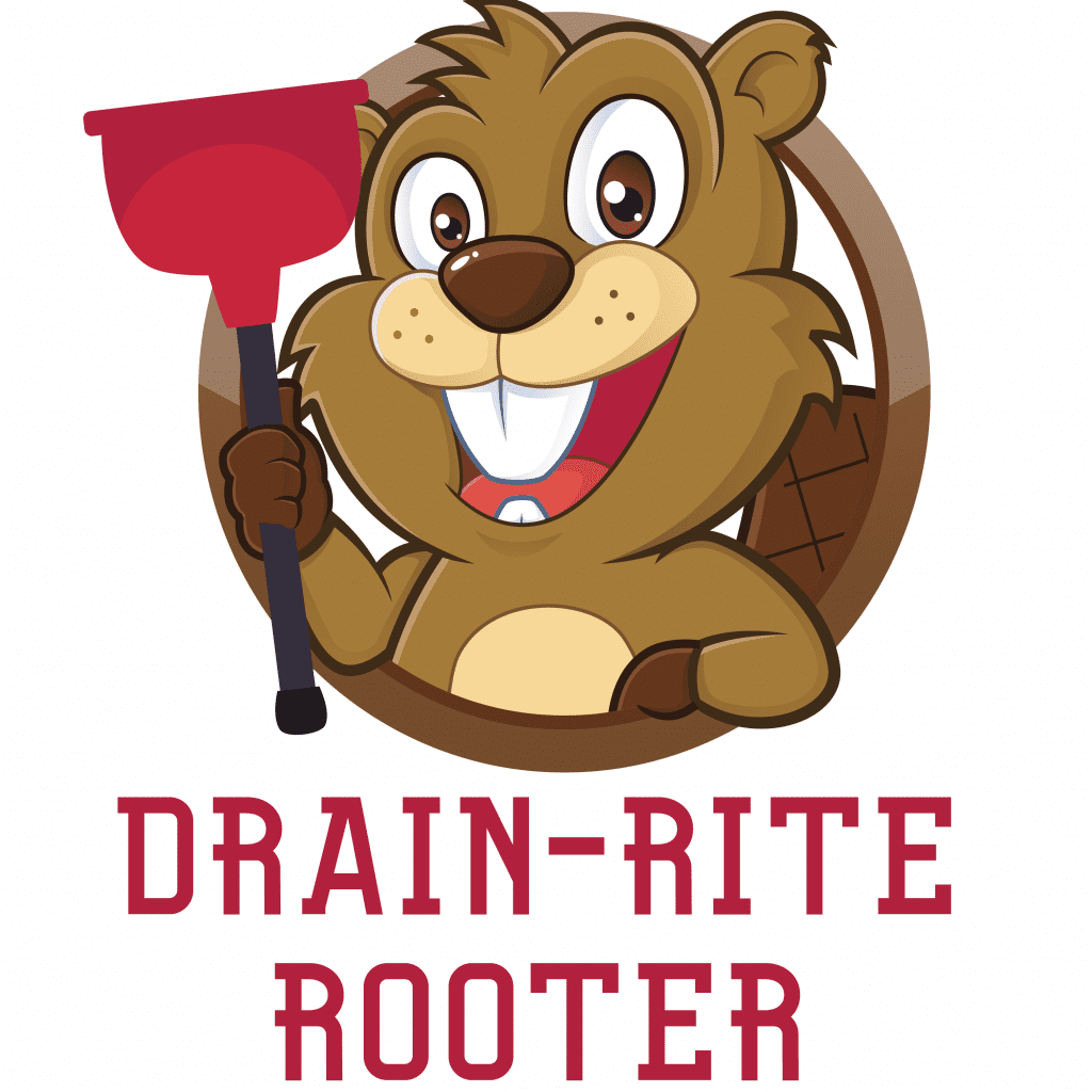 colors_drr_4-copy - Web Design Bentonville | Web Design Northwest Arkansas